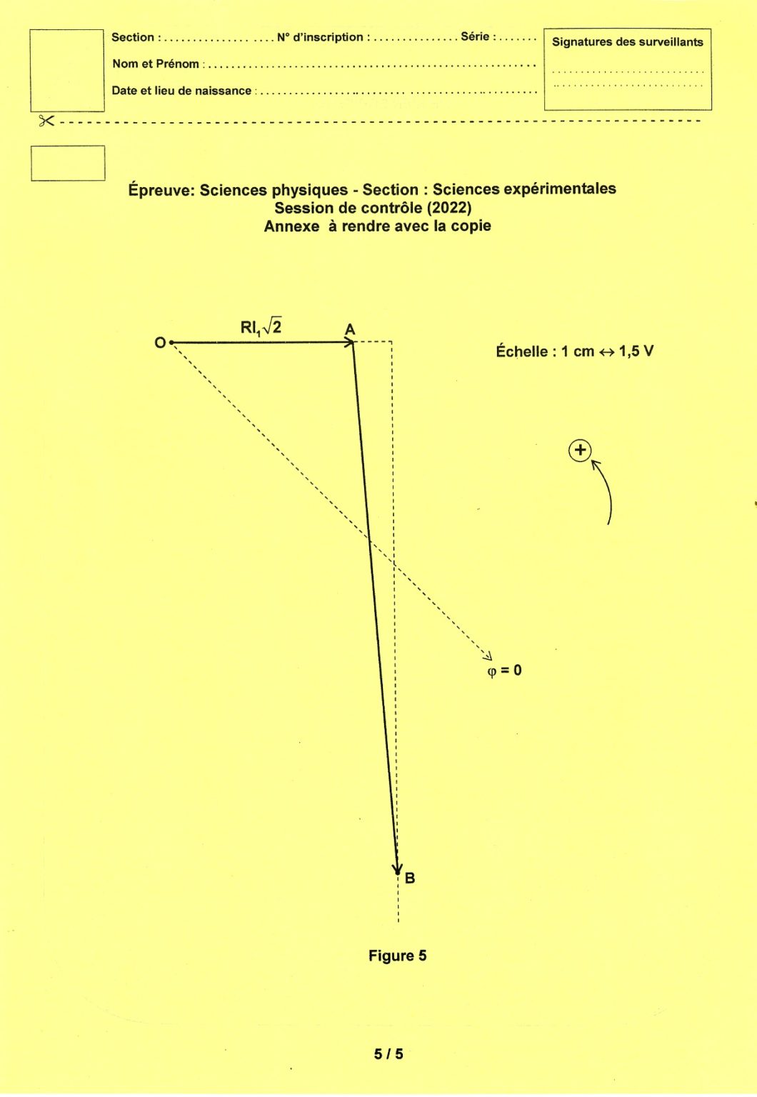 Bac sciences expérimentales 2022 : toutes les épreuves de la session de ...