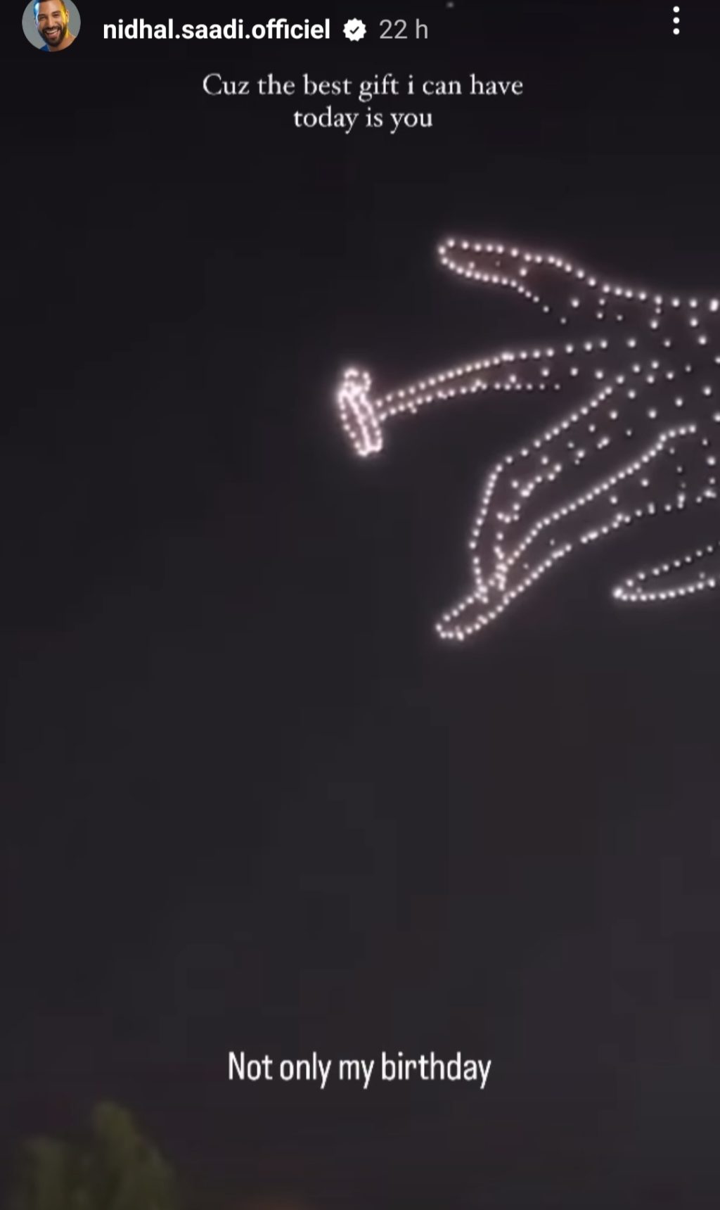 Nidhal Saadi fête son anniversaire et ses fiançailles - Polture