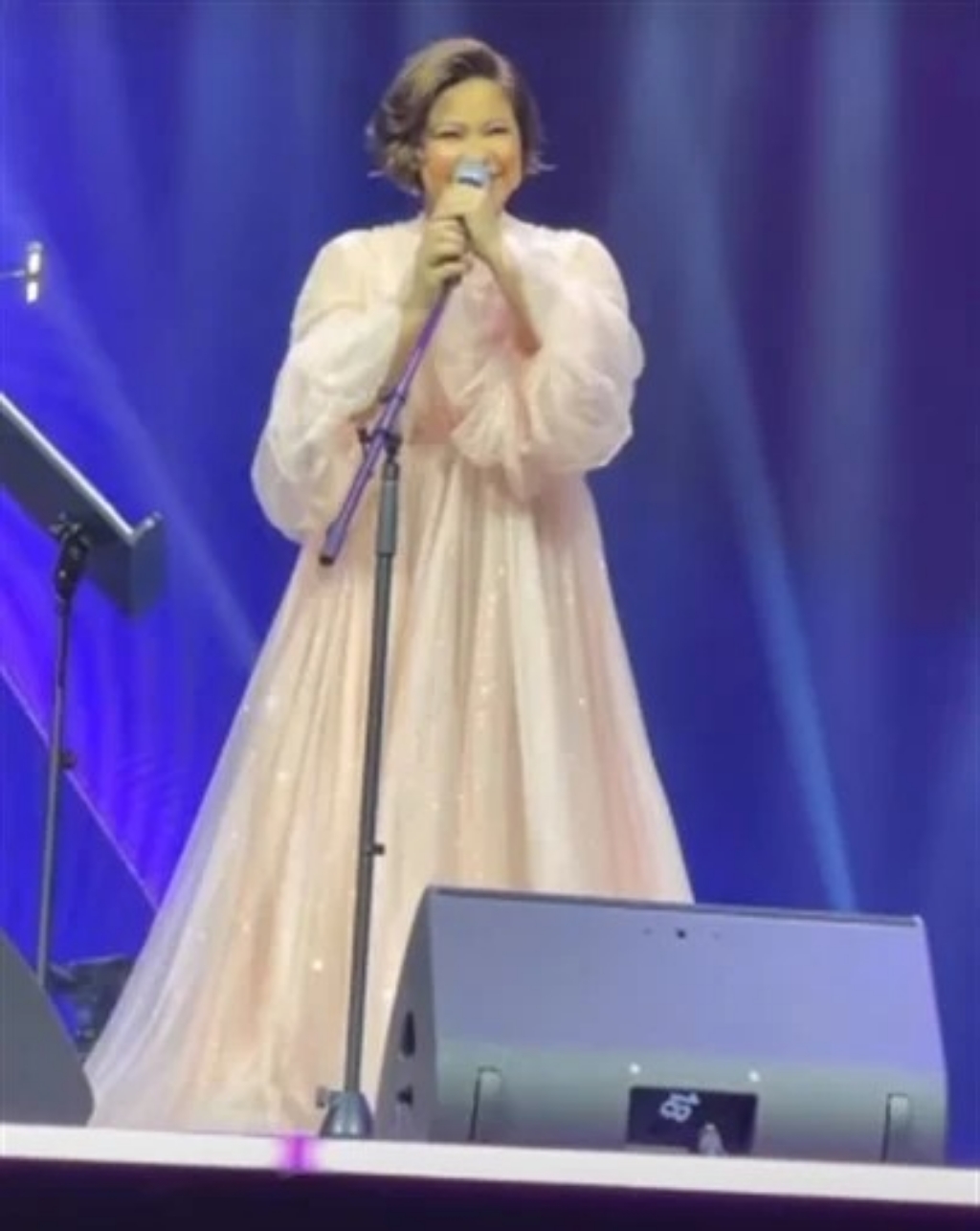 Sherine Abdel Wahab donne son premier concert au Koweït - Polture