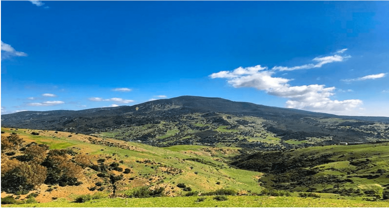 Découvrez la beauté naturelle et la richesse culinaire de la région de ...
