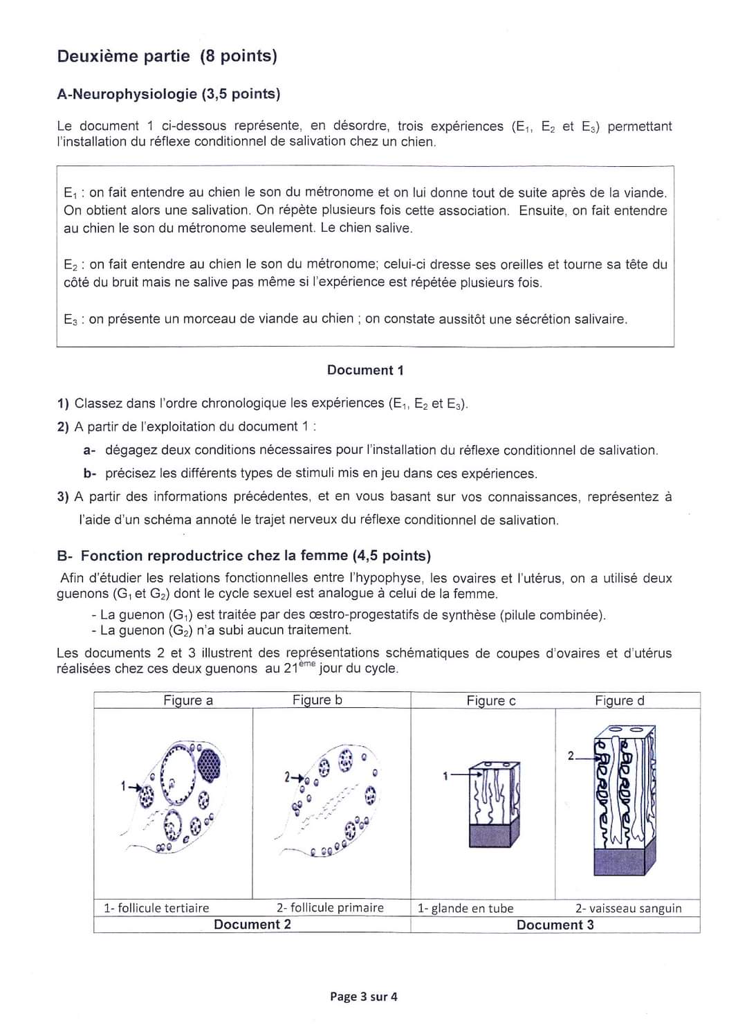 Bac 2023 : Toutes les épreuves du Bac Lettres (session principale ...
