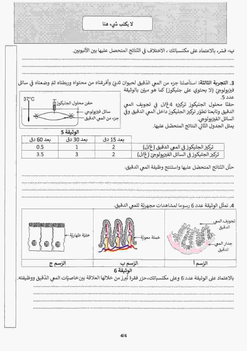 Brevet 2023 : Toutes les épreuves de la 9ème année (Général) - Polture