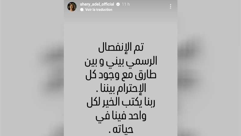 Shery Adel divorce de Tarek Sabry et multiplie les projets ...