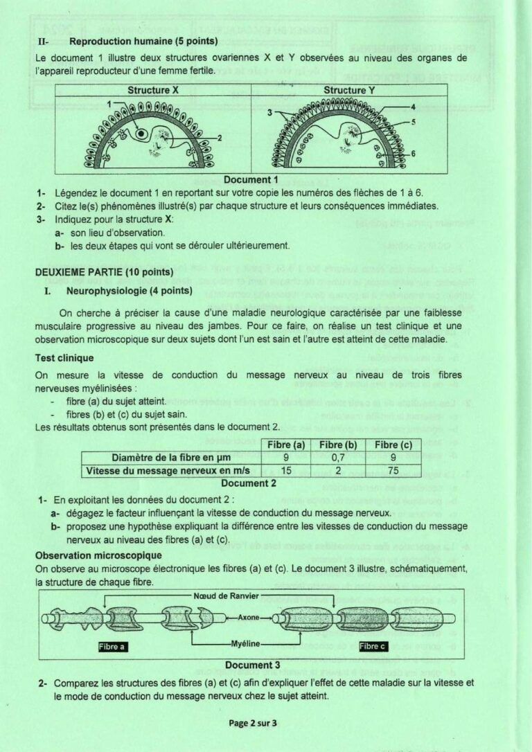 Bac 2024 : Toutes les épreuves de la section Mathématiques (session ...