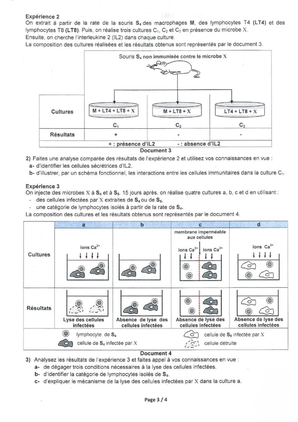Bac 2024 : Toutes les épreuves de la section Sciences Expérimentales ...